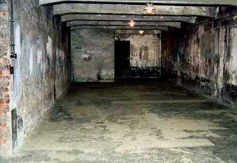 Camere a gas: ci avevano imbrogliato - AgoraVox Italia